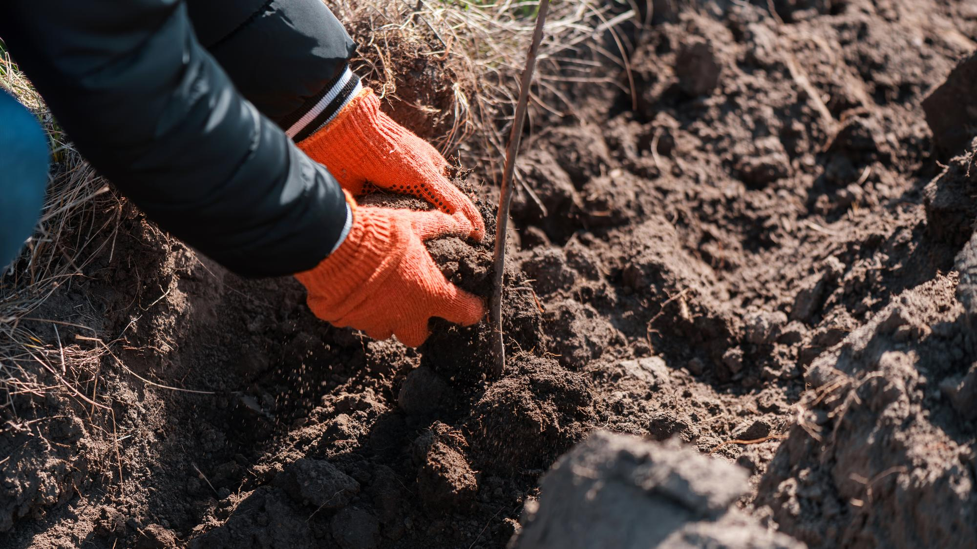 Installing a Resin-Bound Driveway: What to Expect